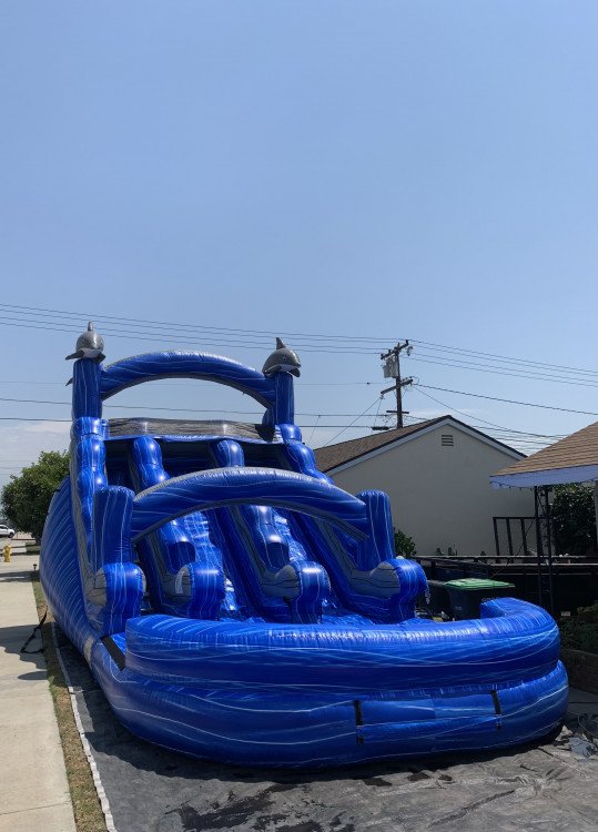 16' Dolphin Water Slide - Highfive Jumpers stanton CA
