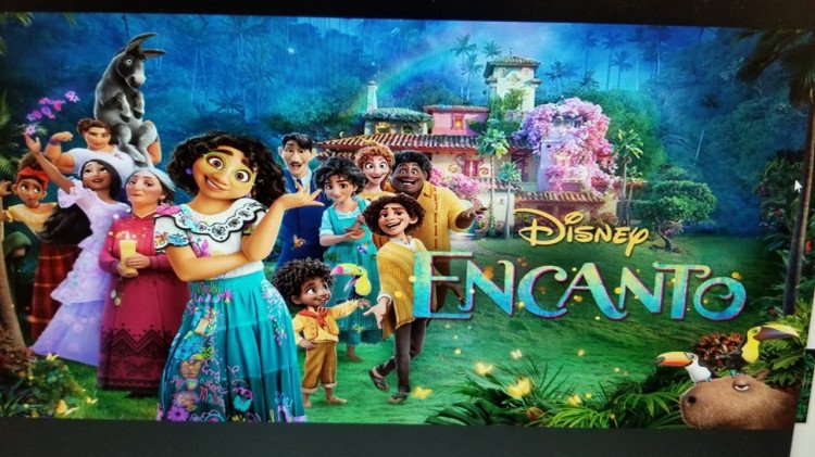 Encanto Theme Banner - Highfive Jumpers stanton CA